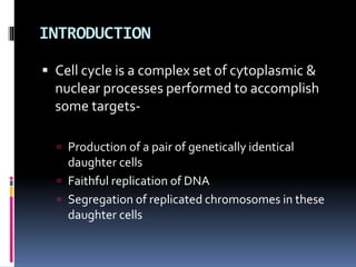 Eukayotic_cell_cycle Prashant.ppt | Biological Sciences | Science