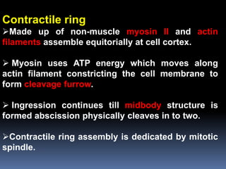 Eukayotic_cell_cycle Prashant.ppt