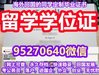 USYD毕业证 | PDF