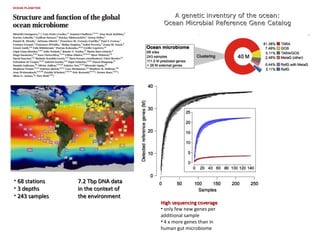 Global ocean’s protist metabarcoding | PPT | Databases | Computer Software and Applications
