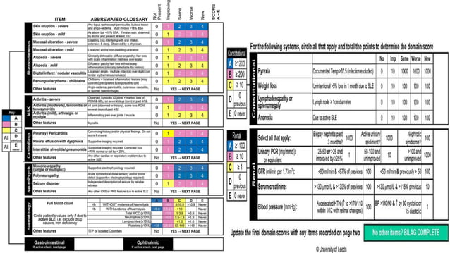 summary of EULAR 2019 guidelines SLE Mx.pptx