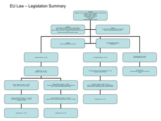 Eu Law – Legislation Summary Detailed | PPT