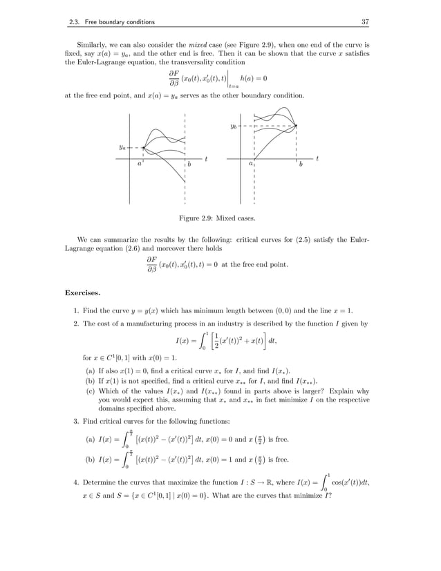 Euler lagrange equation | PDF