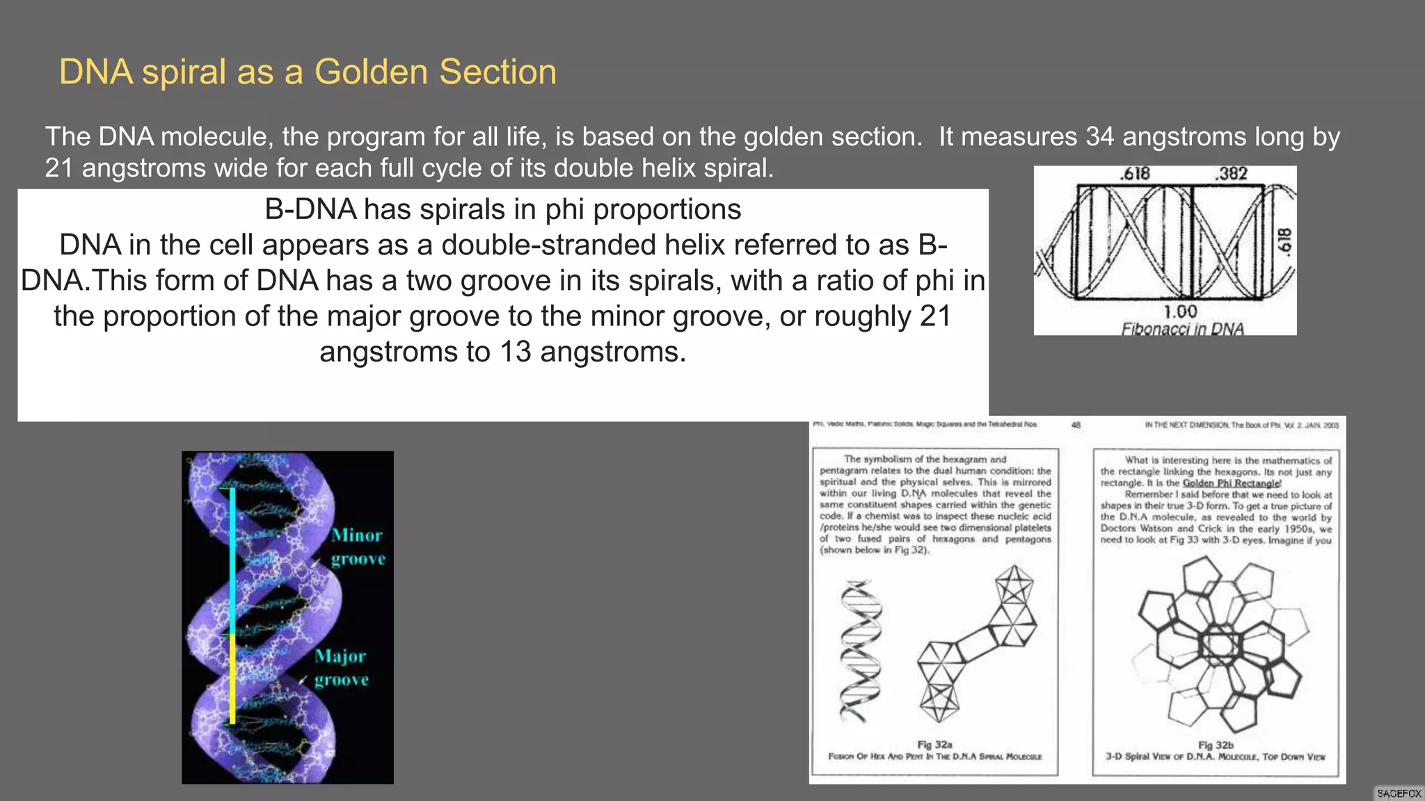 Application of pi golden ratio | PPTX