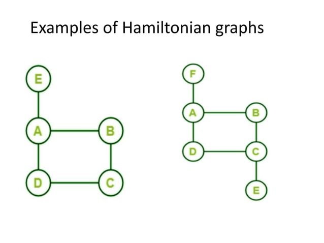 EULER AND HAMILTONIAN - WPS Office.pptx