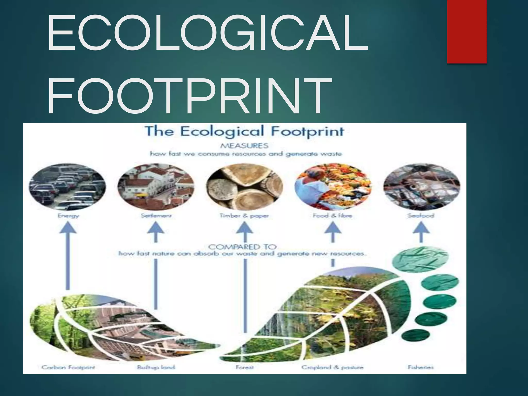 Eumind project .pptx