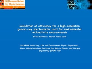 Calculation of efficiency for a high-resolution gamma-ray spectrometer used for environmental ...