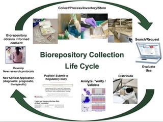 Harmonizing International Biobanking | PPTX