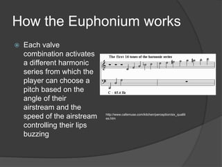 Euphonium pp | PPT