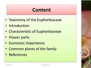 Euphorbiaceae | PPTX