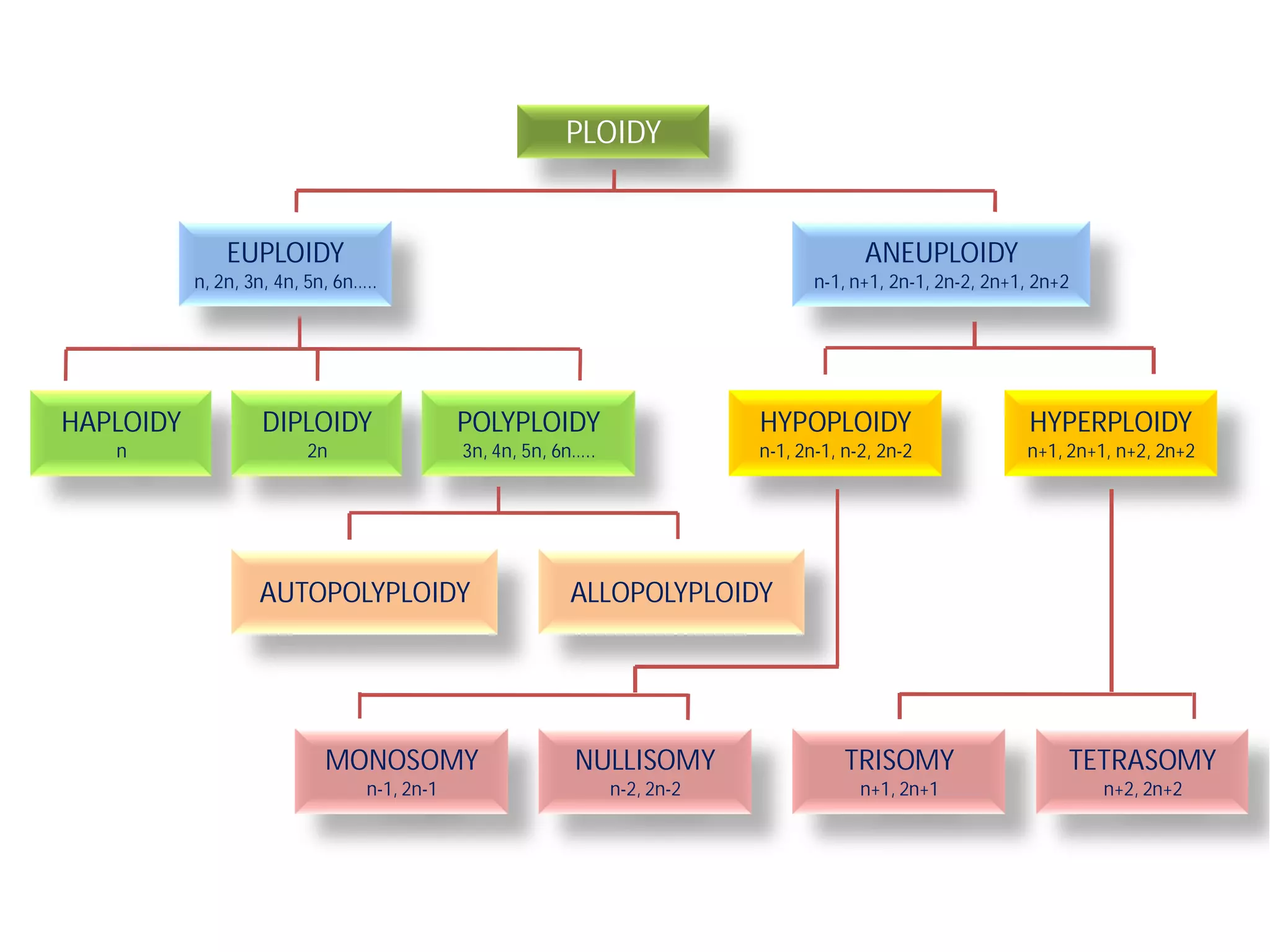 Euploidy and aneuploidy | PDF