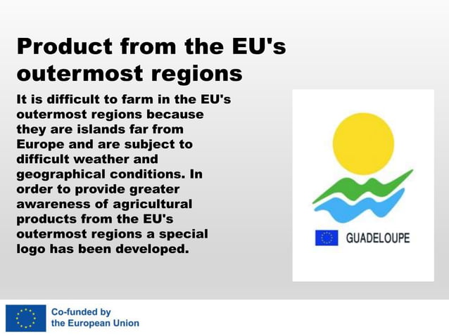 EU quality schemes en.pptx