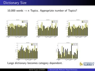 Semantically Relevant Visual Dictionary | PPT