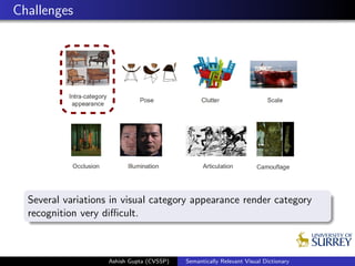 Semantically Relevant Visual Dictionary | PPT