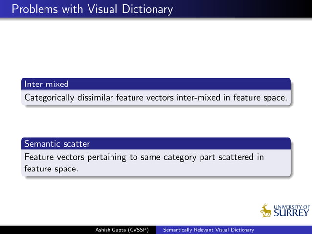 Semantically Relevant Visual Dictionary | PPT