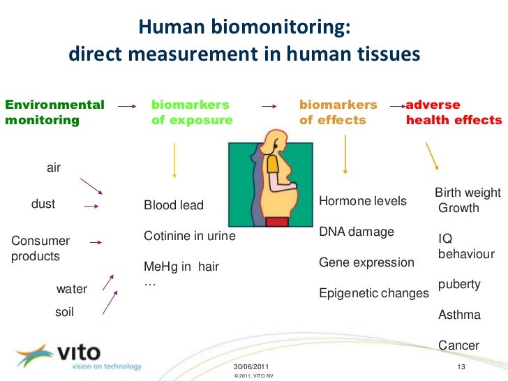 Eurocat humane biomonitoring
