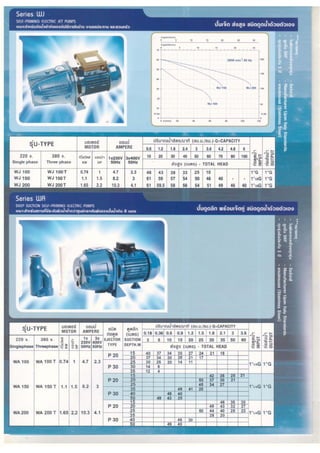 Euroflow Water Pumps for Domestic Supply | PDF