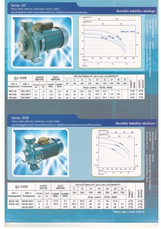 Euroflow Water Pumps for Domestic Supply | PDF