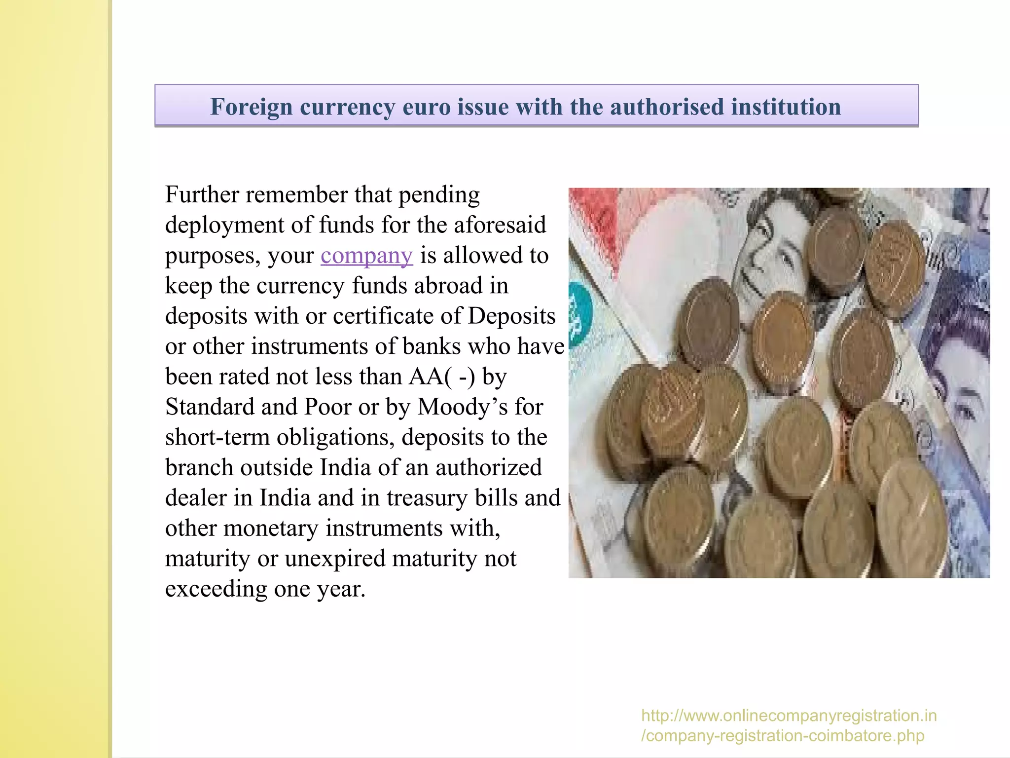 Euro issue in_foreign_currency_with_authorised_ins | PDF