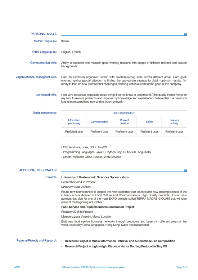 Europass CV Luca Vicentini | PDF | Technology & Computing