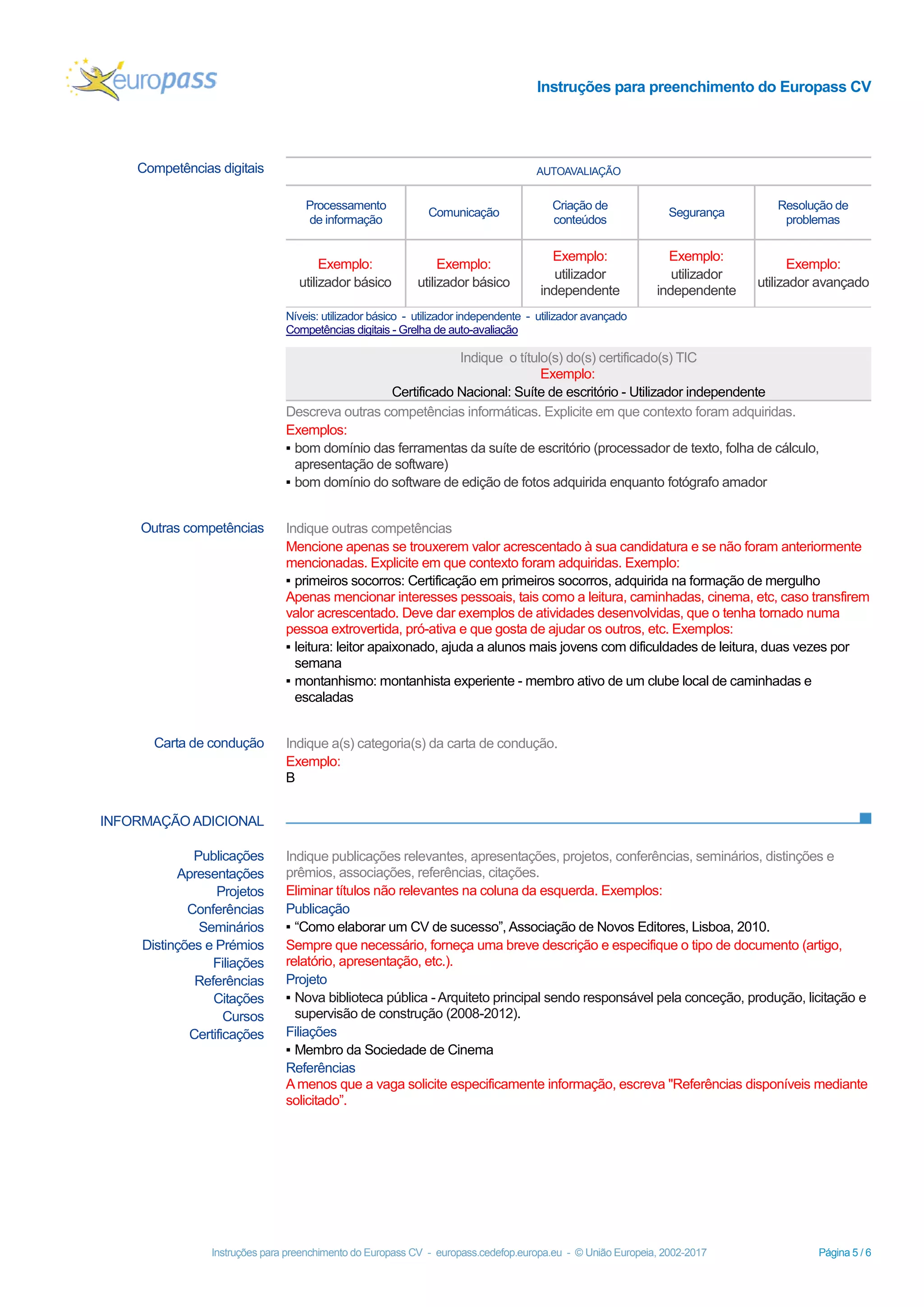 Europass cv instructions_pt | PDF