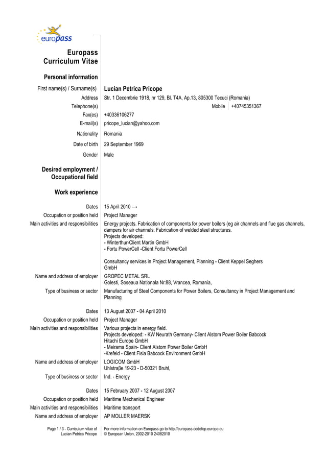 Europass cv lucian pricope2[1] | PDF | Civil Engineering Industry | Industries