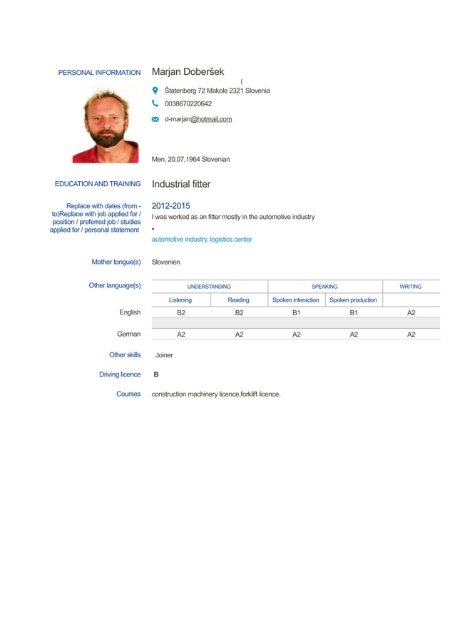 Europass english | PDF