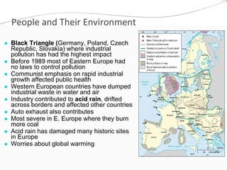 Black Triangle Europe