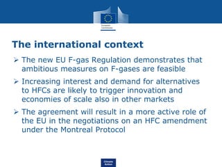 European Commission Cornelius Rhein - the new eu regulation on f-gases ...