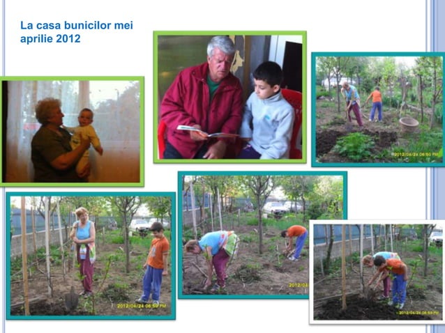 European day of solidarity between generations | PPT