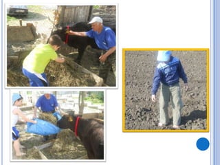 European day of solidarity between generations | PPT