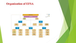 Drug Regulatory Affairs, European Food Safety Authority.pptx