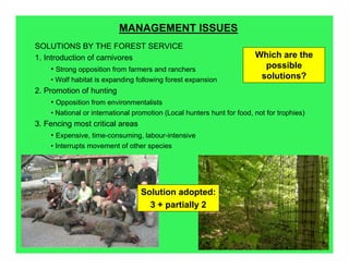 European forests a lecture on main forest types | PDF