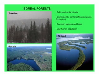 European forests a lecture on main forest types | PDF