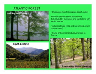 European forests a lecture on main forest types | PDF