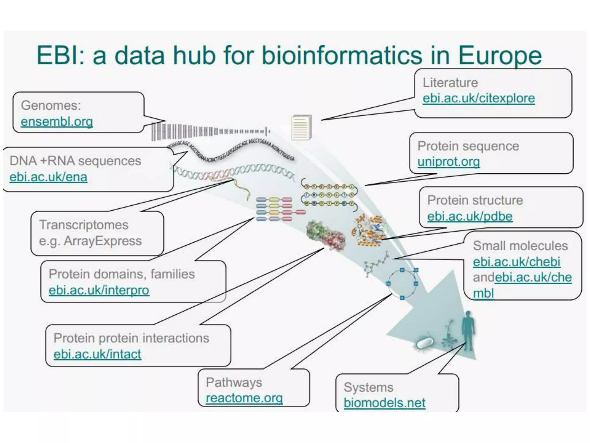 European molecular biology laboratory (EMBL) | PPTX