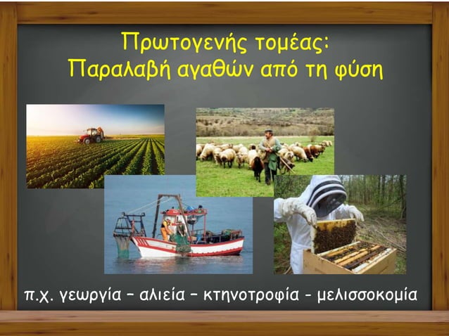 Οι τομείς παραγωγής της ευρωπαϊκής οικονομίας | PPT