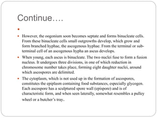 Eurotium(aspergillus) | PPTX