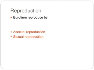 Eurotium(aspergillus) | PPTX