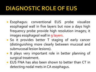 eus-200527113847.pdf