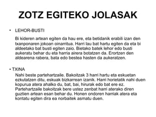 JOLASAK | PPT