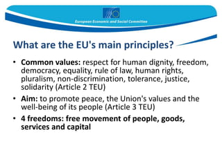 EU SLIDE semplificate.ppt | Political Issues & policy | Politics