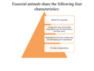 Eusocial behaviour.pptx