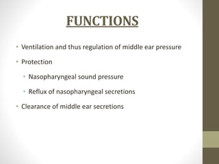 Eustachian Tube | PPT