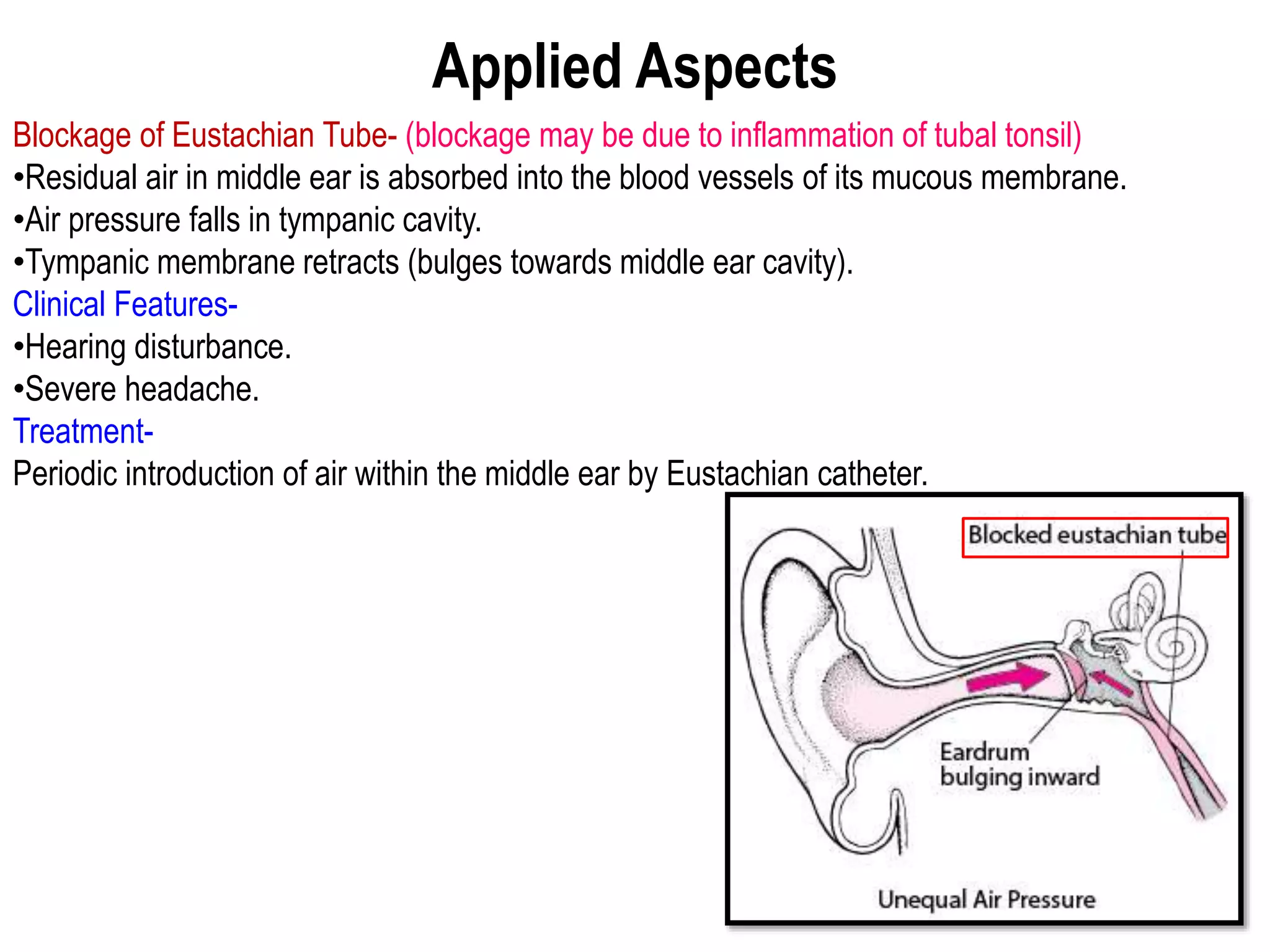 eustachian_tube.pptx