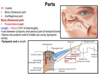 eustachian_tube.pptx
