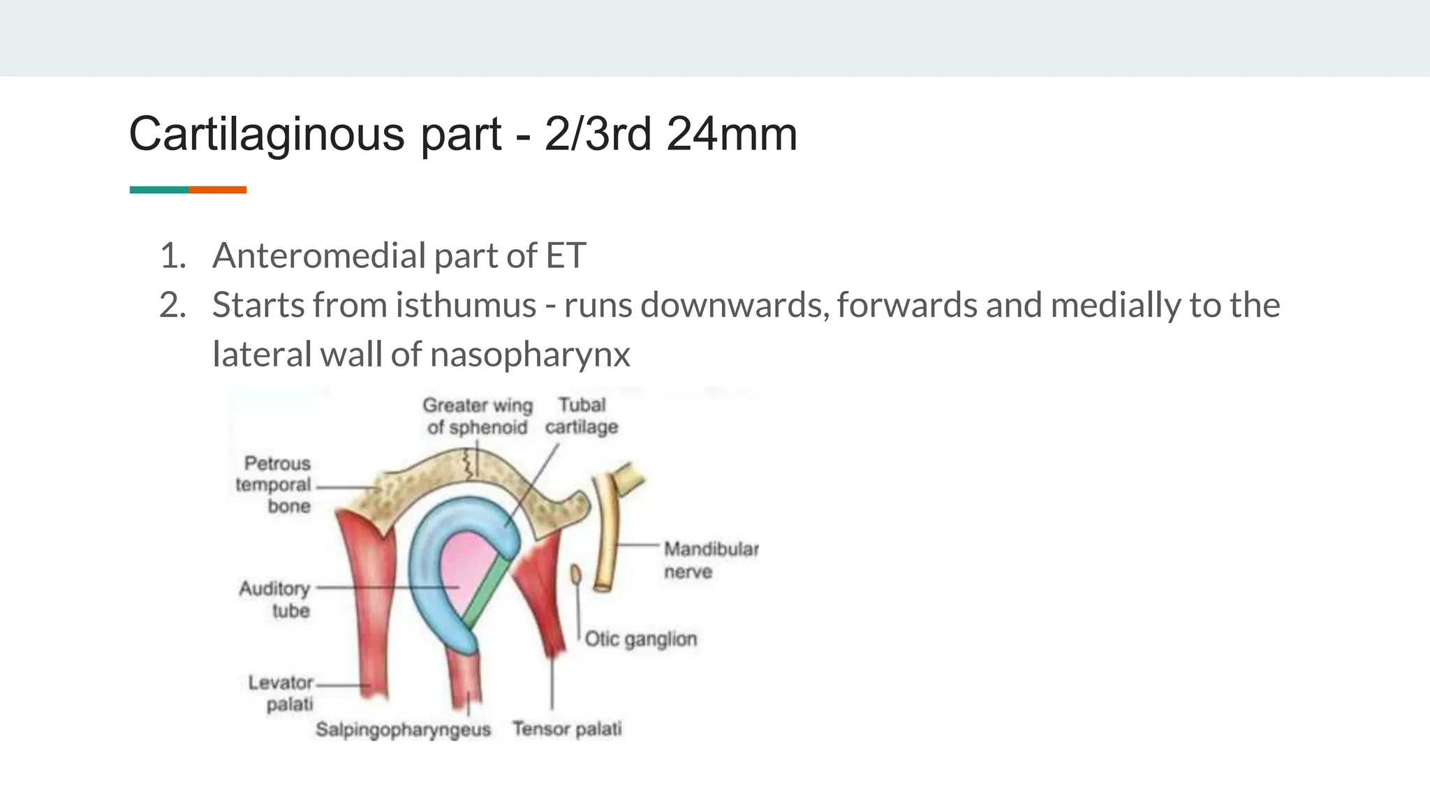 Eustachian tube and it's disorders, ENT | PPTX