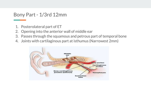 Eustachian tube and it's disorders, ENT | PPTX