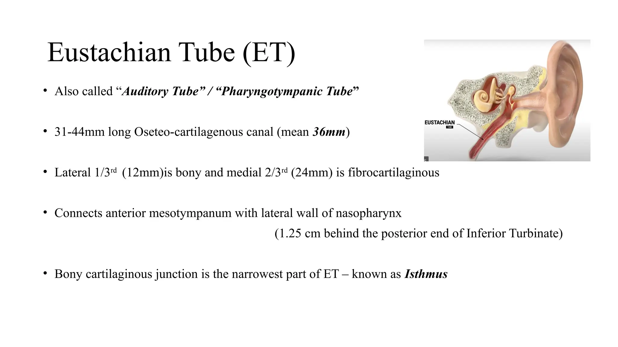 Eustachian Tube - Anatomy physiology and Disorders UG.pptx