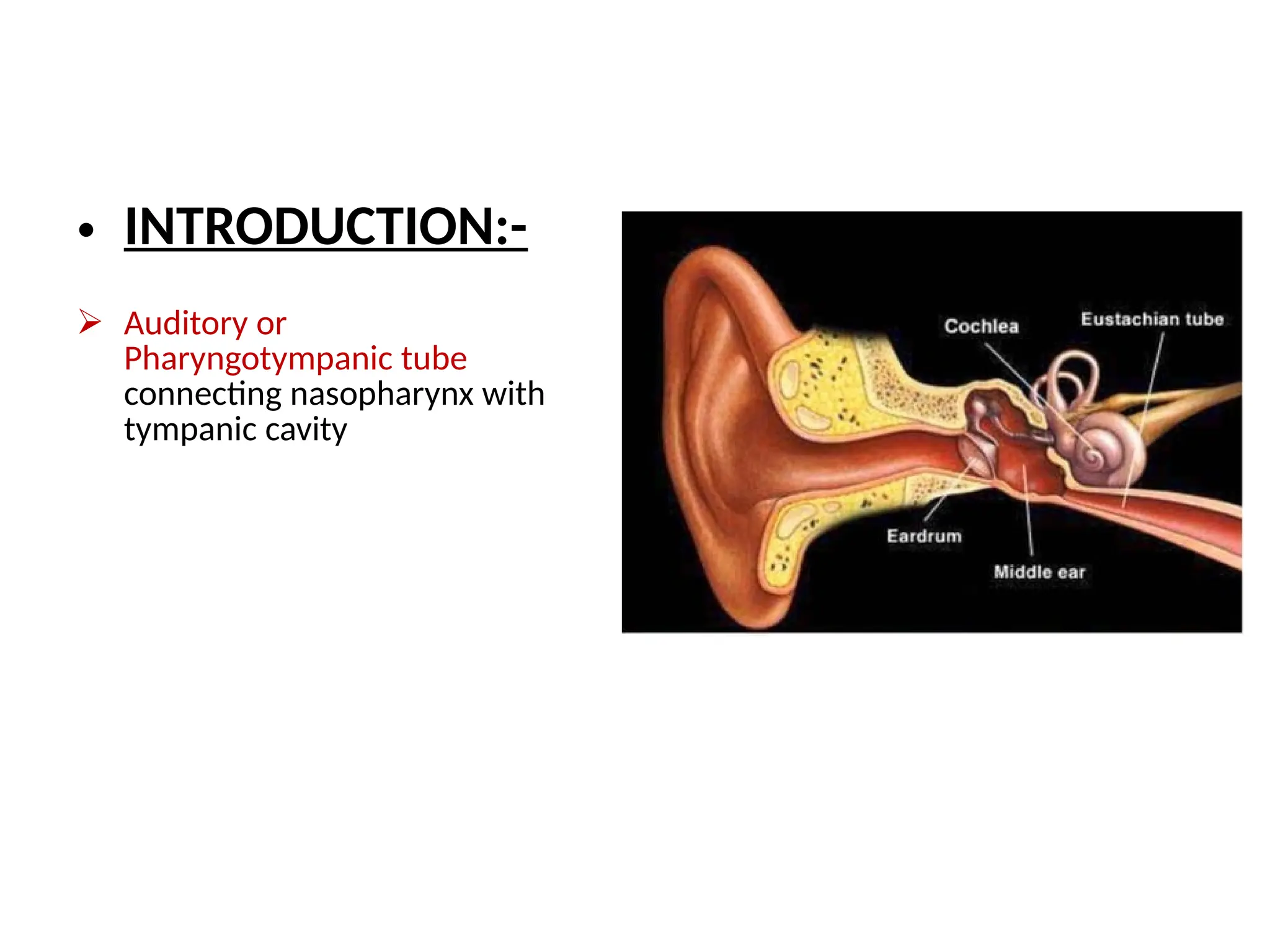 eustachian tube anatomy DFTDTFYGUHDFCand physiology.pptx